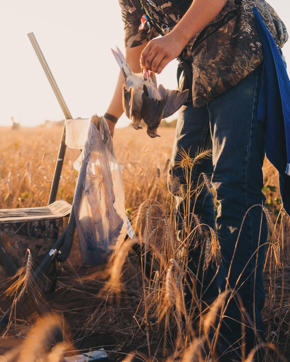 Book The Wild - Understanding Dove Migration in Texas: Zones, Flyways ...